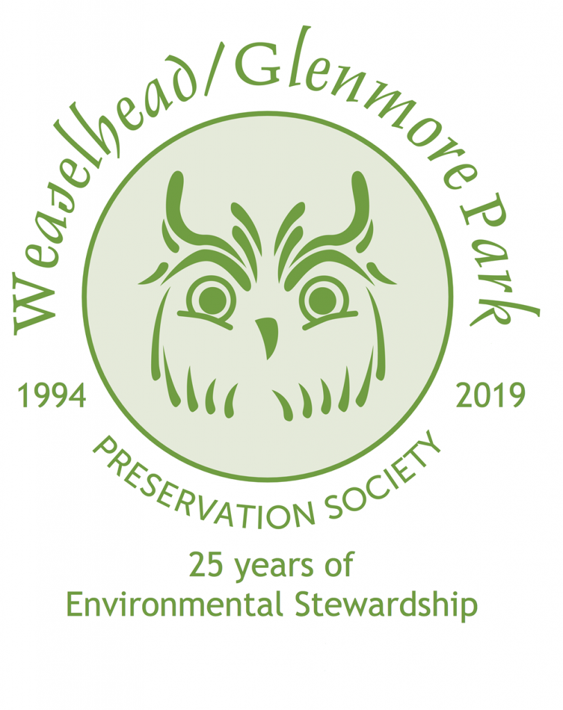 25yr owl logo - Weaselhead Preservation Society