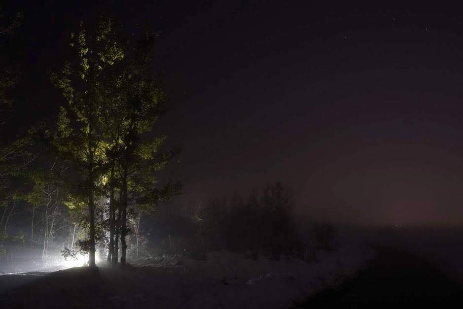 Halloween Full Moon Evening & Night Hike - Weaselhead Preservation Society