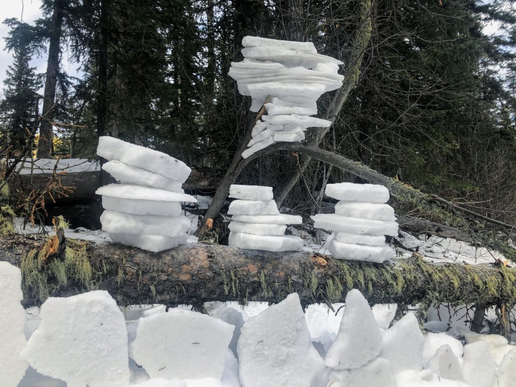 Weaselhead Snow Art - Weaselhead Preservation Society