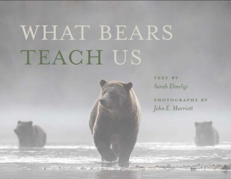 2022 AGM and Presentation: What Bears Teach Us - Weaselhead ...