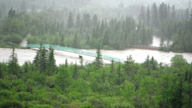 the-bridges-21st-June - Weaselhead Preservation Society